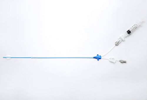 Bioteque Corporation (Headquarter)